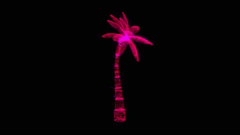 Coconut Palm 3D Stock Videos – Royalty-Free HD & 4K Videos | Page 3