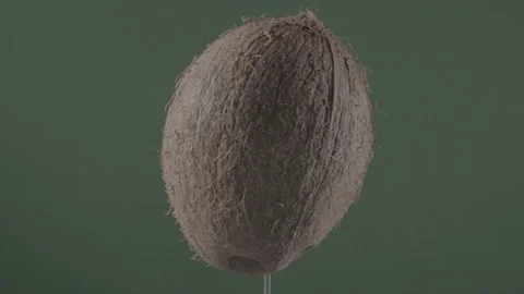Coconut rotating with loop on green scre... | Stock Video | Pond5