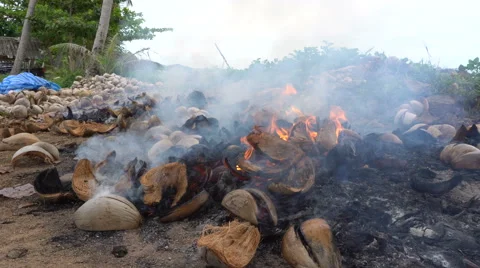 Coconut shell burning | Stock Video | Pond5