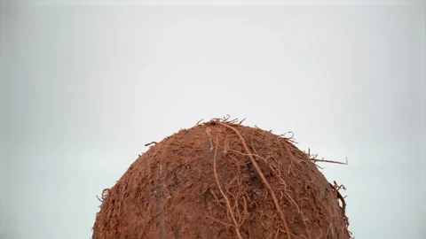 Coconut shell close up on white backgrou... | Stock Video | Pond5
