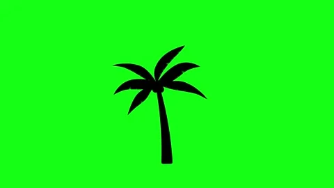 coconut tree green screen animated cocon... | Stock Video | Pond5