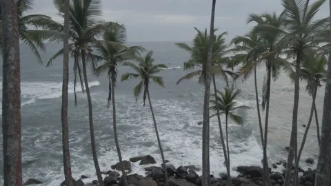 Drone Sri Lanka Stock Videos – Royalty-Free HD & 4K Videos | Page 4