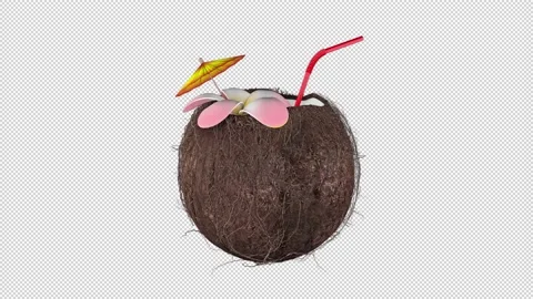 Coco Channel Video Stock Videos – Royalty-Free HD & 4K Videos | Pond5