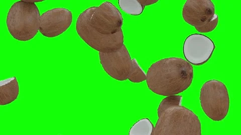 Coconuts Falling On Green Screen With Al... | Stock Video | Pond5