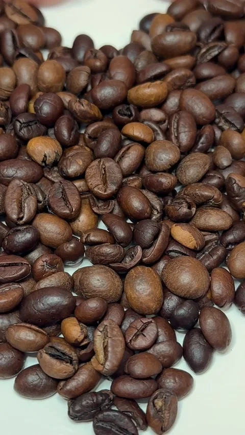 Bean Shape Stock Videos – Royalty-Free HD & 4K Videos | Pond5