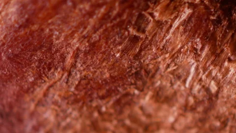 Coffee bean under microscope. Caffeine. ... | Stock Video | Pond5