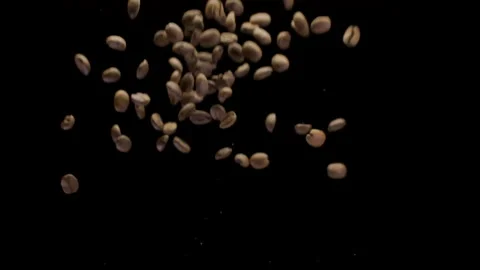 A Coffee Beans Falling in Slow Motion Is... | Stock Video | Pond5