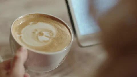 Bear Picture Stock Videos – Royalty-Free HD & 4K Videos | Pond5