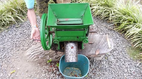 Coffee Collsct Stock Videos – Royalty-Free HD & 4K Videos | Pond5