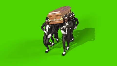 Meme Hats Stock Videos – Royalty-Free HD & 4K Videos | Pond5