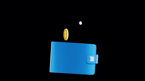 Coins fall into a wallet Animation on a ... | Stock Video | Pond5