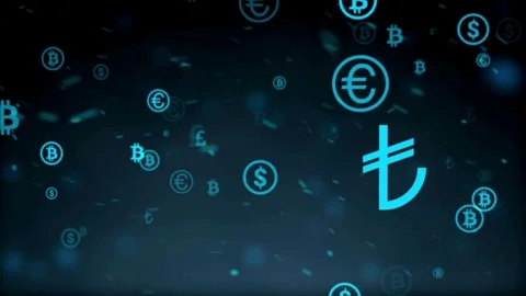 Animation Award Show Stock Videos – Royalty-Free HD & 4K Videos | Page 6