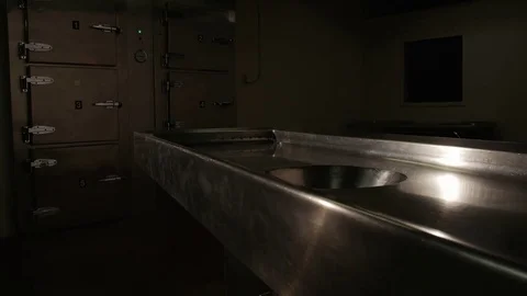 Autopsy Stock Video Footage | Royalty Free Autopsy Videos | Pond5