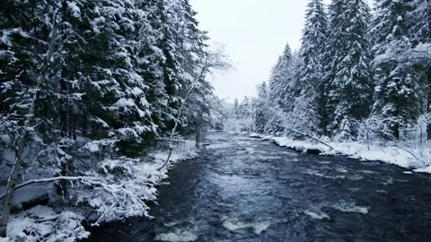 Wild The Cold Stock Video Footage | Royalty Free Wild The Cold Videos ...