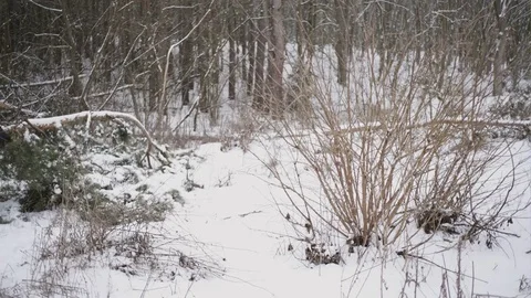 Miserable Stock Video Footage | Royalty Free Miserable Videos | Pond5