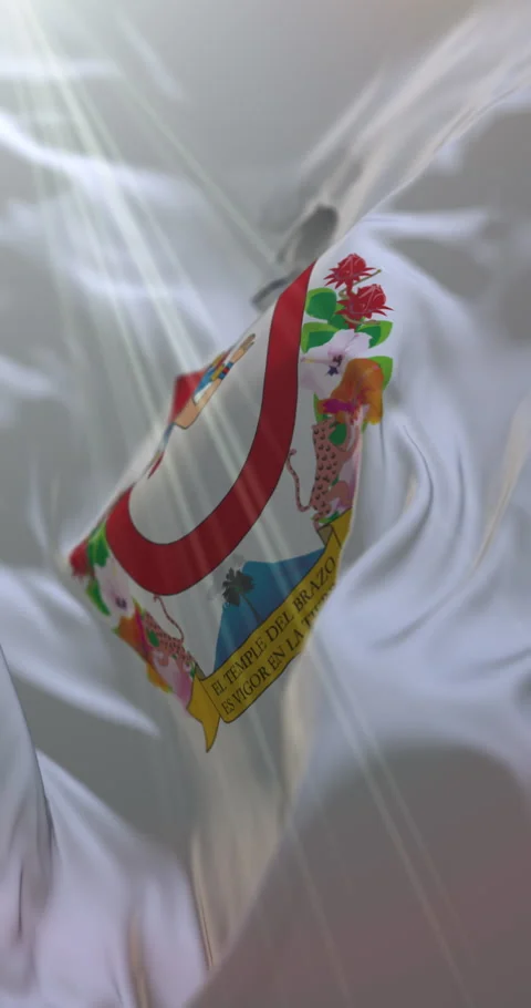 Colima Flag, Mexico. Loop. 4K Vertical | Stock Video | Pond5