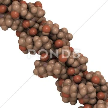 Collagen model protein, chemical structure. Illustration #29810256