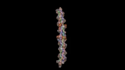 Collagen molecule 3d animation . Seamles... | Stock Video | Pond5