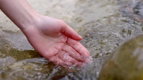 Collecting water from river into hand pa... | Stock Video | Pond5