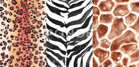A collection of animal skin texture backgrounds. wildlife patterns ...