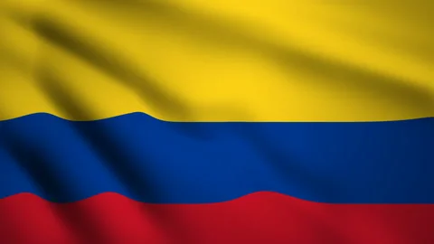 Colobia Video Stock Videos – Royalty-Free HD & 4K Videos | Pond5