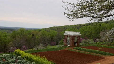 Colonial historic vegetable garden plant... | Stock Video | Pond5