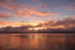 Davidek1 ~ Artist Portfolio ~ Art for Sale | Pond5