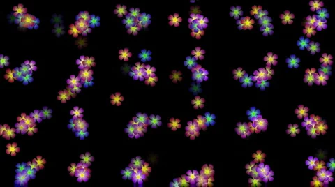 Neon Flower Pattern Stock Videos – Royalty-Free HD & 4K Videos | Page 2