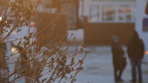 Scene Pictur Stock Videos – Royalty-Free HD & 4K Videos | Pond5