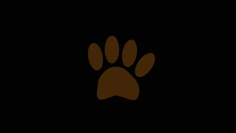 Color picture of foot on a black backgro... | Stock Video | Pond5