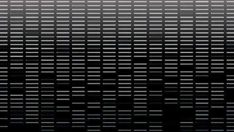 Color Short Lines Grid Background Video ... | Stock Video | Pond5