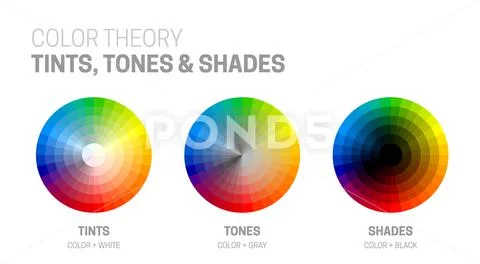 Color Theory Tints, Tones and Shades Vector Chart Illustration with ...