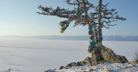 Colored ritual ribbons on a shamanic tre... | Stock Video | Pond5