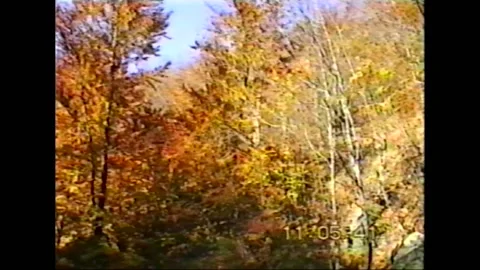 Colorful autumn trees VHS Family Vacatio... | Stock Video | Pond5