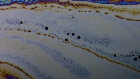 Microscope Pattern Stock Video Footage | Royalty Free Microscope ...