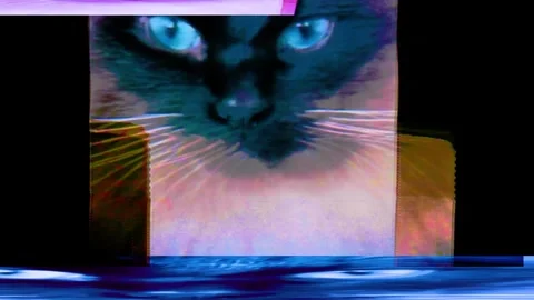 Bitmap Stock Video Footage | Royalty Free Bitmap Videos | Pond5