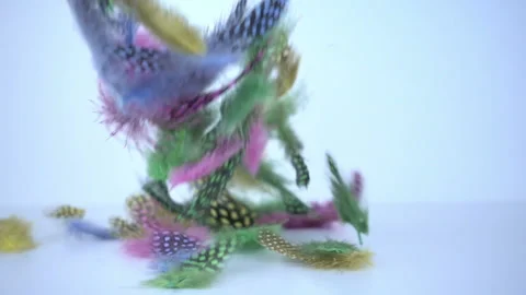 Feathers Falling Stock Video Footage | Royalty Free Feathers Falling ...
