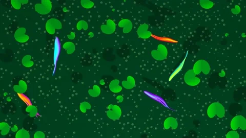 Colorful fish swim in the pond top view ... | Stock Video | Pond5