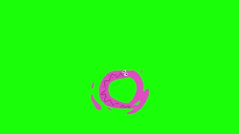 Colorful Fun Snake Alphabet Animation on... | Stock Video | Pond5