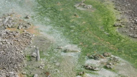 Colorful microbes at the hot springs at ... | Stock Video | Pond5