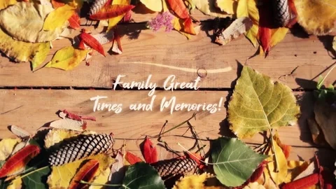 After Effects Template: Colorful Nature Intro #292633093