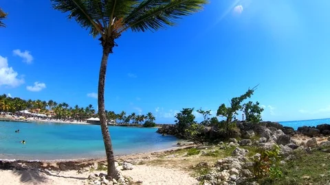 Shore Bas Stock Videos – Royalty-Free HD & 4K Videos