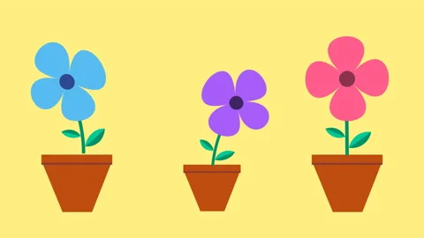 Colorful simple 2d flower animation in h... | Stock Video | Pond5