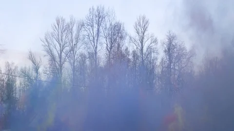 Pink Smoke Bomb Stock Videos – Royalty-Free HD & 4K Videos | Page 3