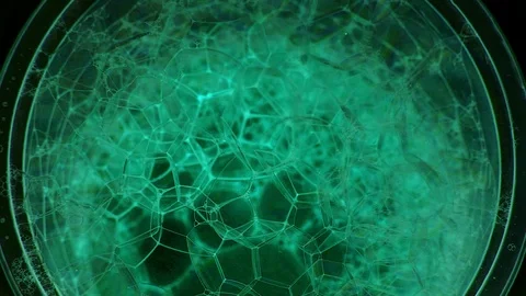 Cell Popping Stock Videos – Royalty-Free HD & 4K Videos