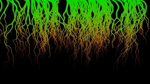 Colorful vines growing across screen. 3d... | Stock Video | Pond5