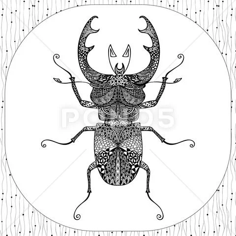 Coloring page of Balck Bug, zentangle illustartion: Graphic #63612189
