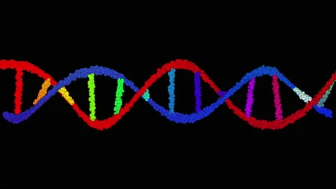 Colourful DNA Animation Seamless Loops o... | Stock Video | Pond5