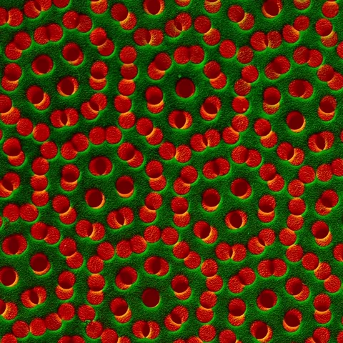 Colourful green and red abstract holes b... | Stock Video | Pond5