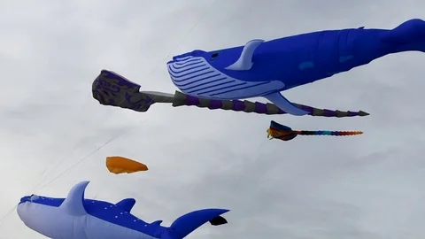 Colourful shaped designer kites shaped l... | Stock Video | Pond5